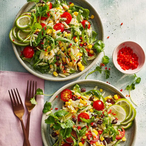 Slimming World recipe books | Slimming World Blog